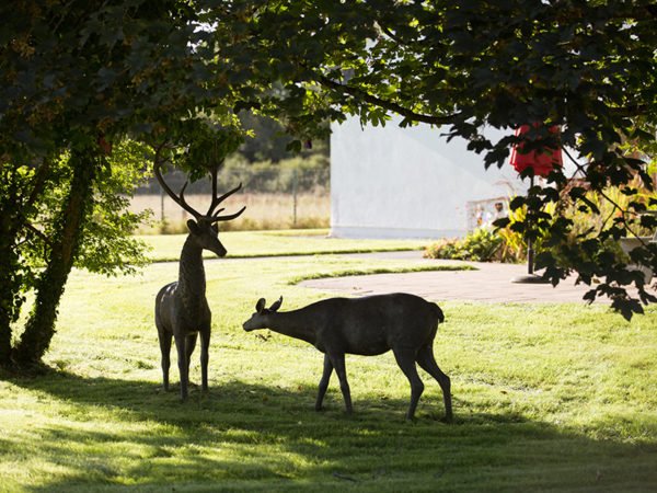 Nursing Homes Galway | Clarinbridge Care Centre